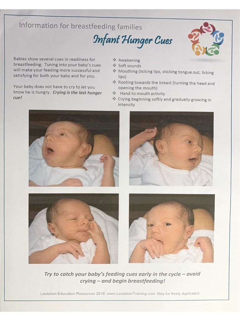 Infant Hunger Cues | PDF