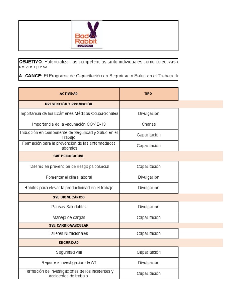 Plan de Capacitación | PDF | Ciencias de la Salud | Cuidado de la salud