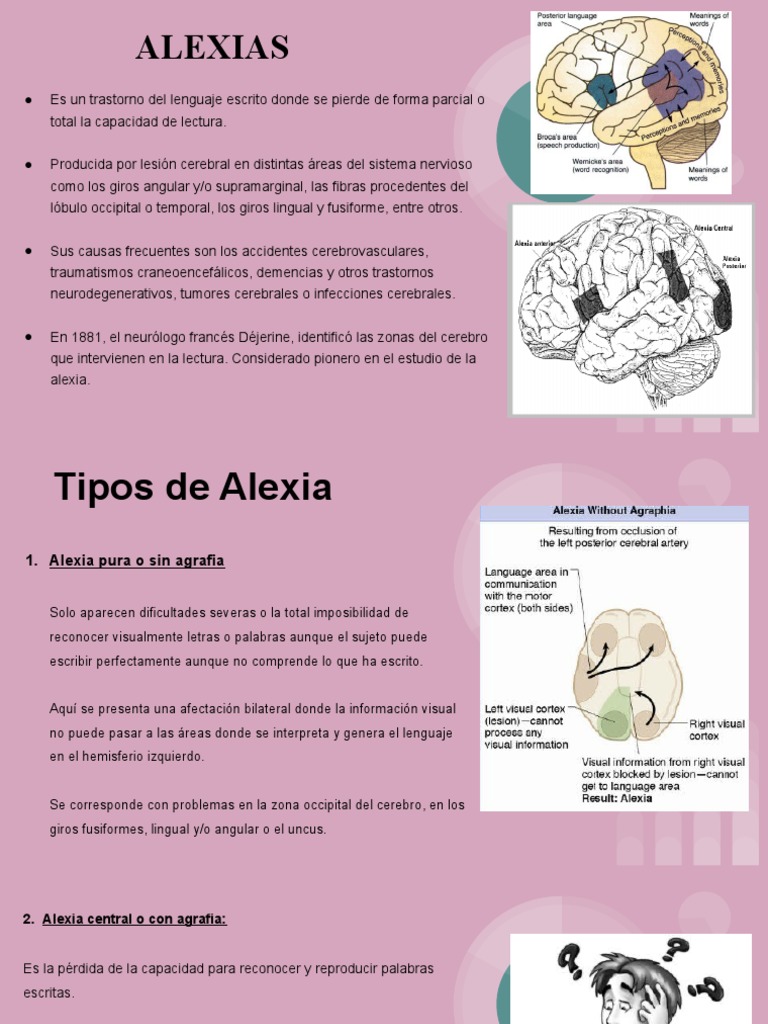 Tipos y características de la alexia | PDF | Afasia | Lóbulo temporal