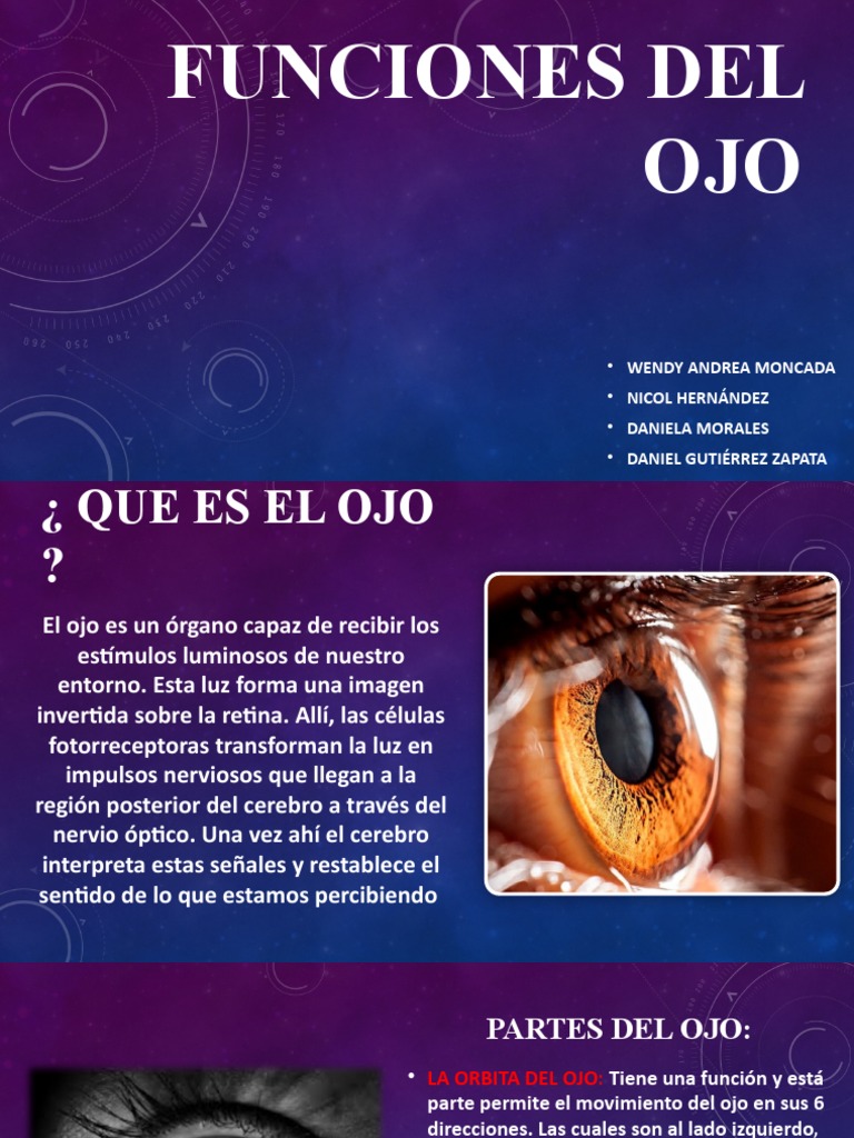 Funciones Del Ojo | Descargar gratis PDF | Ojo humano | Percepción visual