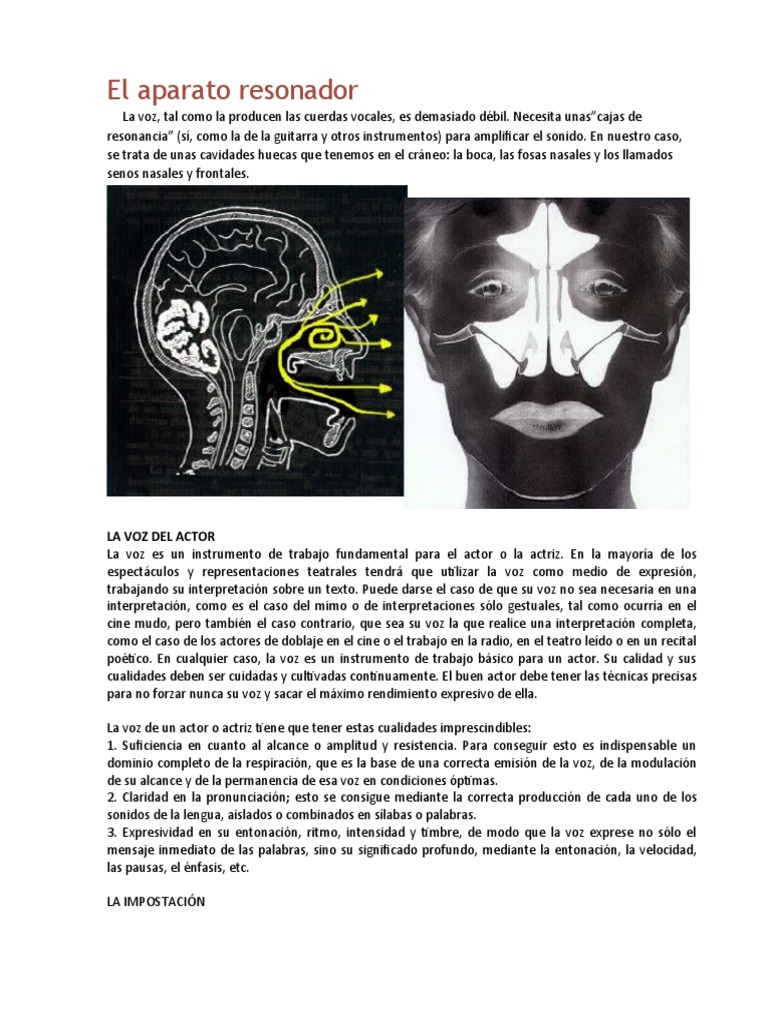 Funcionamiento del aparato resonador | PDF | Sonido | Vocal