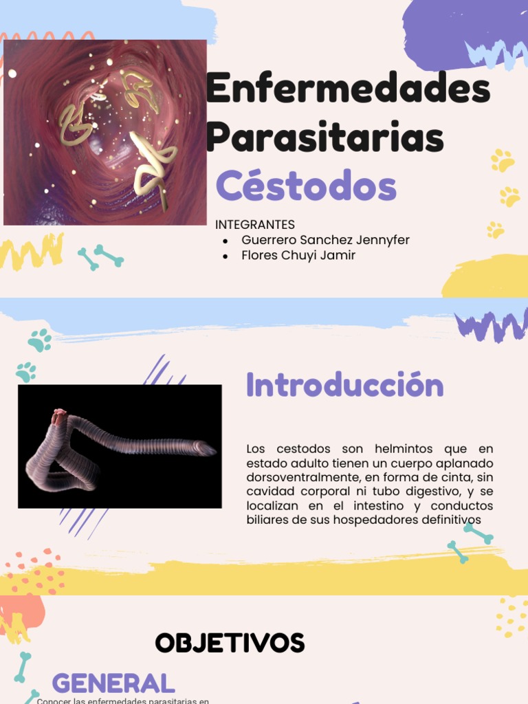 Enfermedades Parasitarias Céstodos | PDF