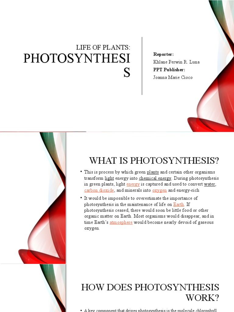 Life of Plants | PDF | Photosynthesis | Chloroplast