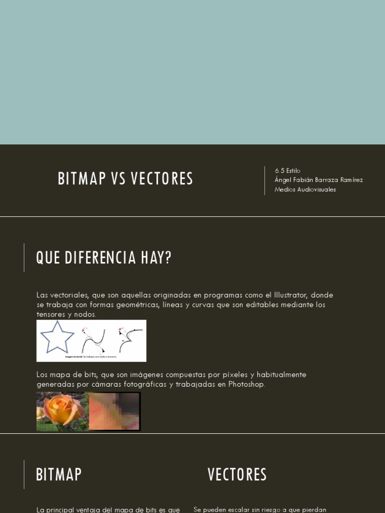 Bitmap VS Vectores PDF | PDF | Vector Euclidiano | Gráficos de computadora
