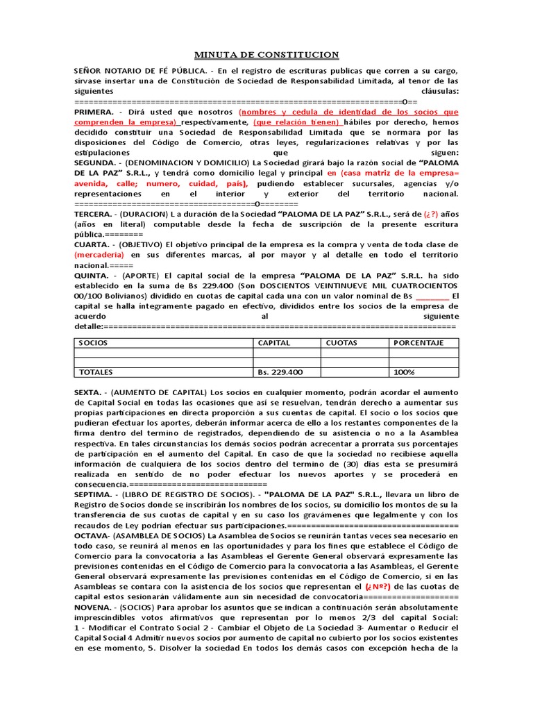 Minuta de Constitucion | PDF | Economias | Business