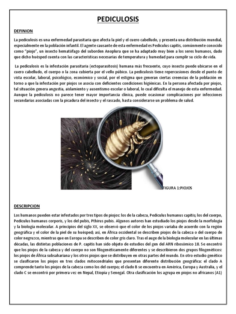 PEDICULOSIS | PDF | Especialidades Medicas