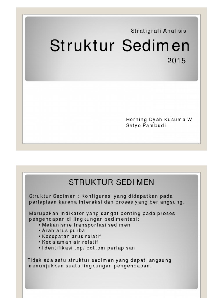 Struktur Sedimen dan Stratigrafi | PDF | Sains & Matematika