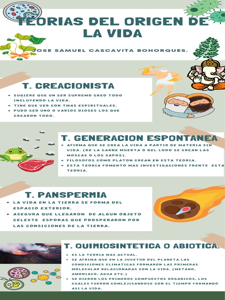 Infografia Origen de La Vida | PDF | Ciencias sociales | Filosofía