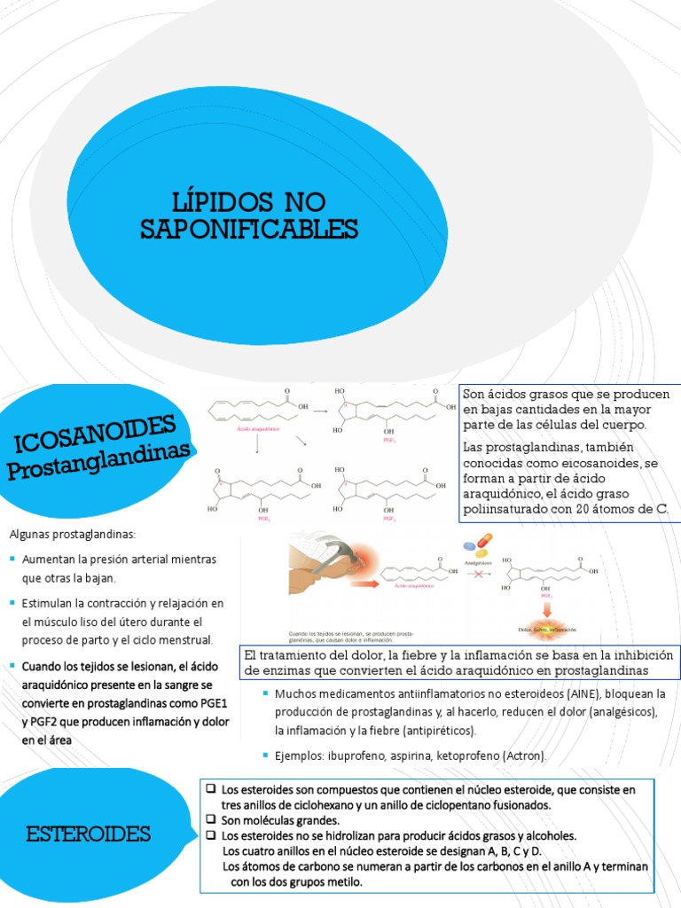 Lípidos No Saponificables Pdf Bilis Prostaglandina