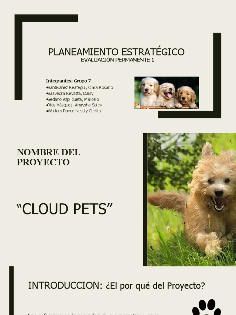 Cloud Pets | PDF