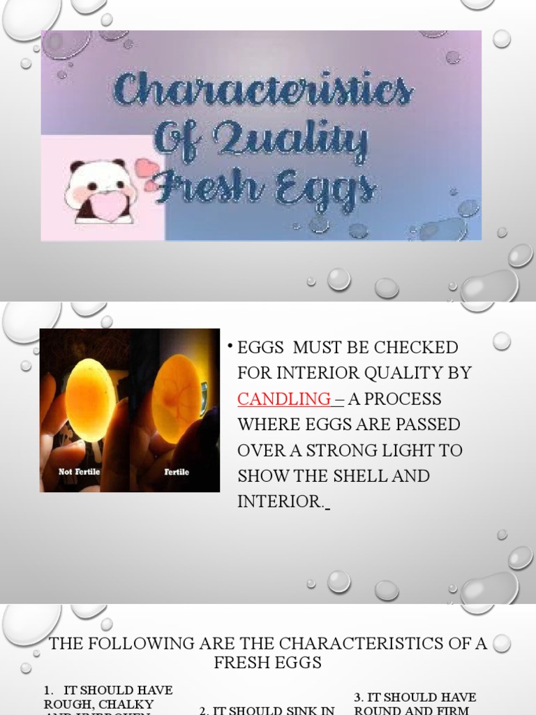 Egg Characteristics | PDF