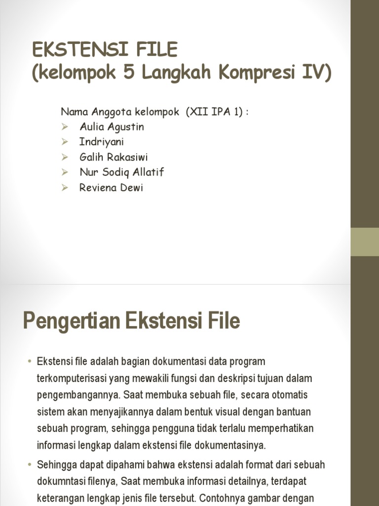 Ekstensi File | PDF | Seni