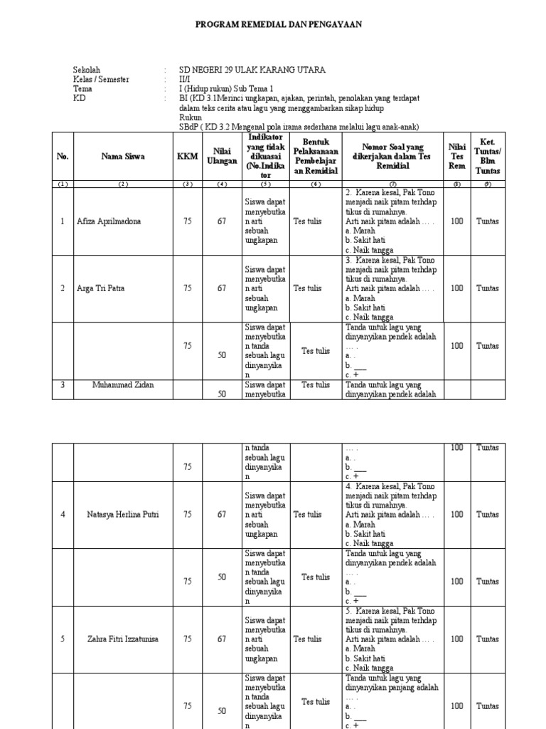 Program Remedial dan Pengayaan SD | PDF