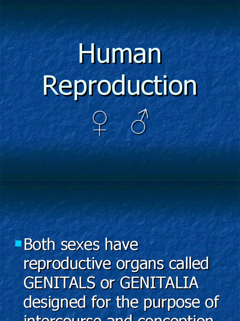 Human Reproduction | PDF | Reproductive System | Ovary