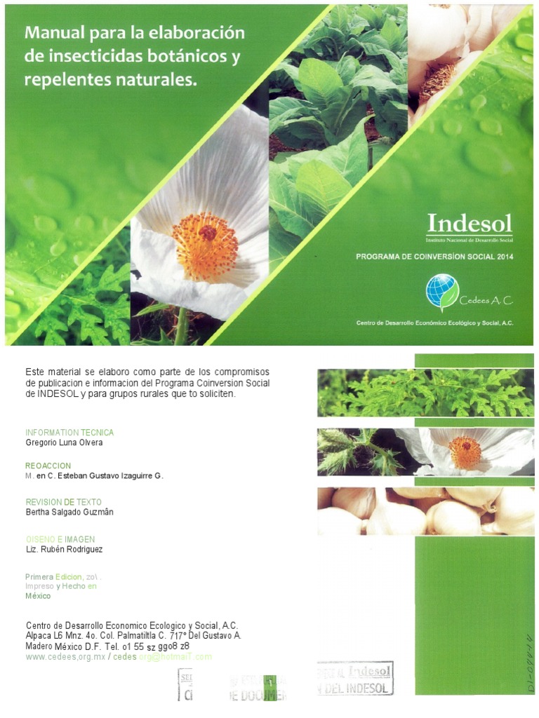 Insecticidas Naturales de Plantas | PDF | Agua | Insecticida