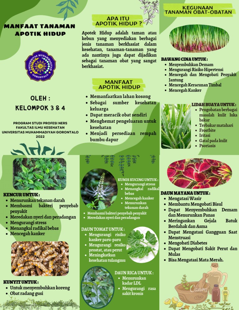 Leaflet Apotik Hidup | PDF
