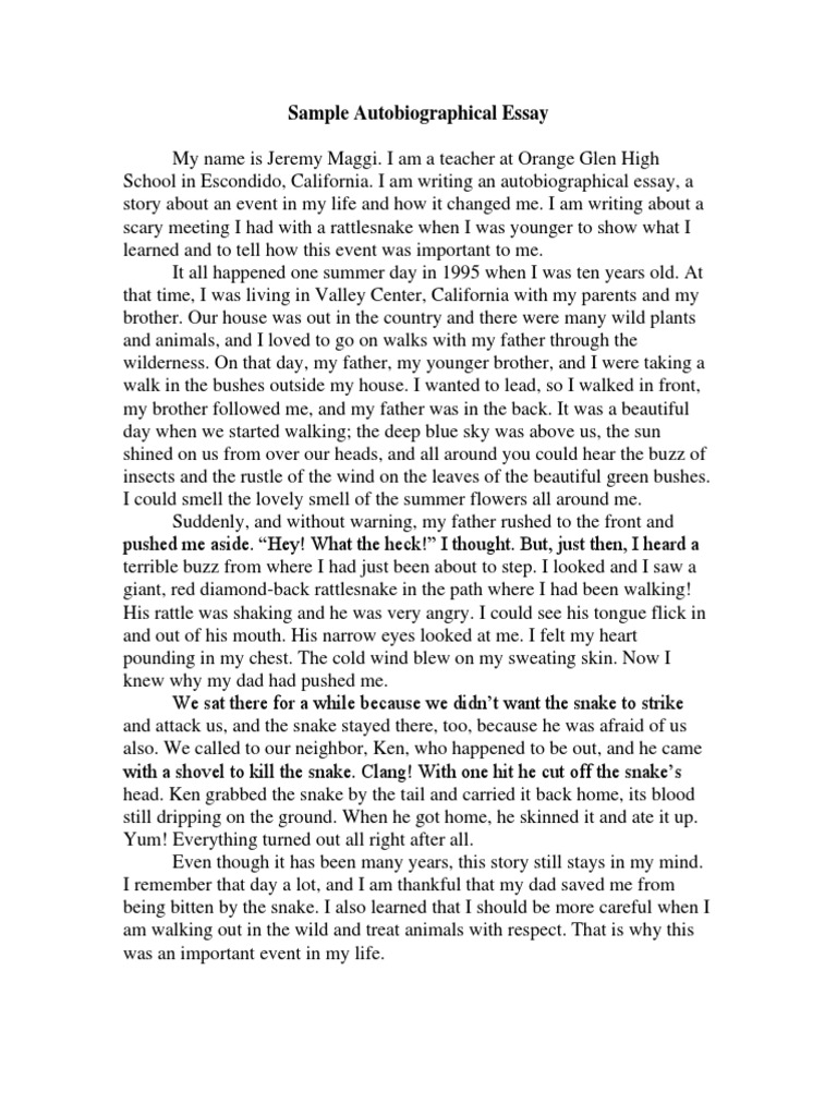 Social Class Autobiography Example | PDF