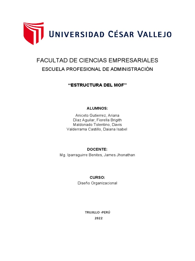 Estructura del MOF en la Empresa | PDF | Contabilidad | Auditoría
