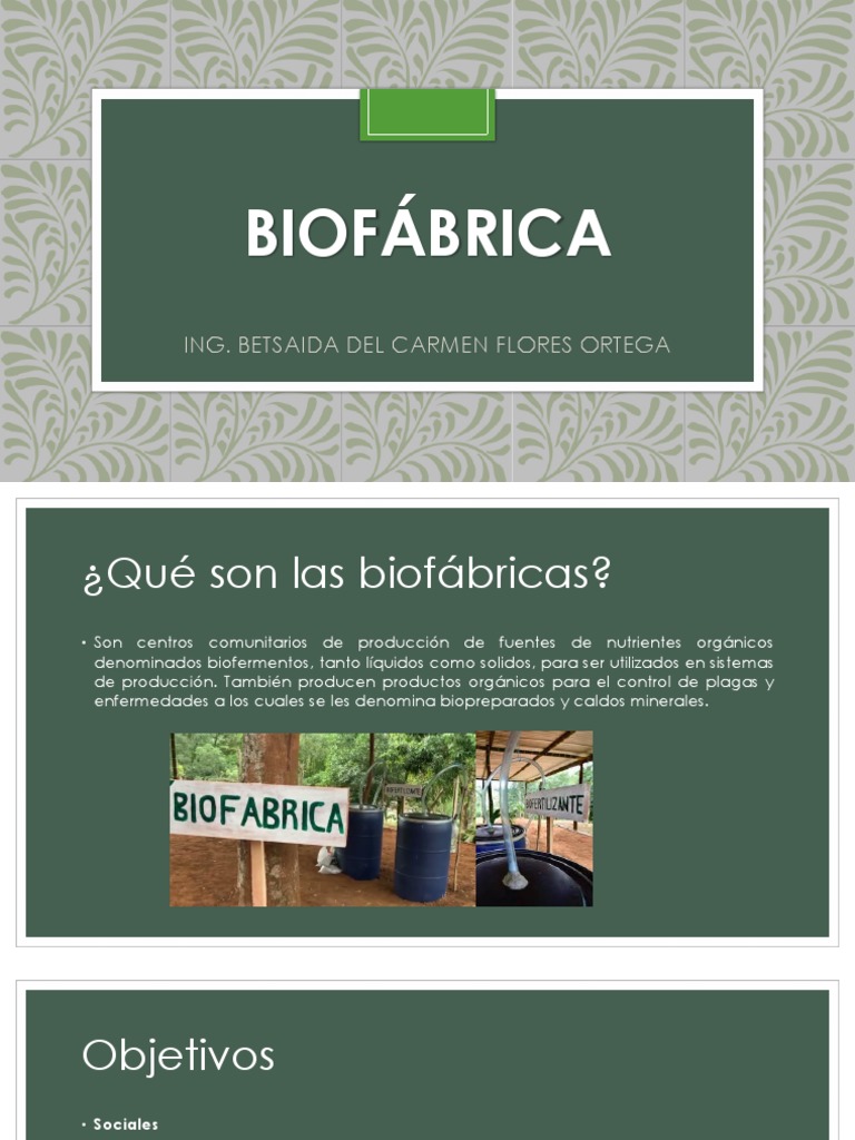 Biofábrica | PDF | Fertilizante | Compost