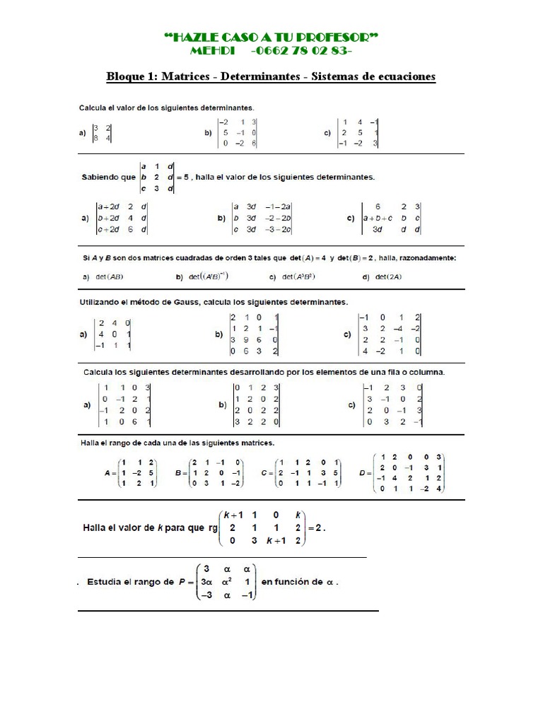 Bloque 1 Matrices Determinantes Sistemas de Ecuaciones | PDF | Informática