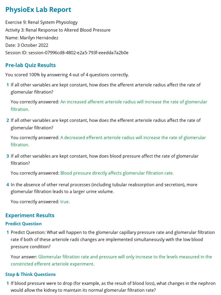 Physioex Exercise 9 Activity 3 Pdf Kidney Anatomy
