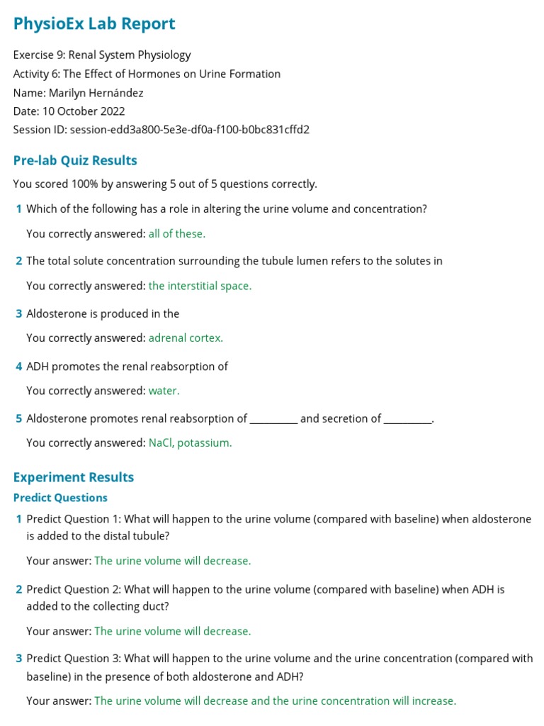 Physioex Exercise 9 Activity 6 Pdf Urinary System Kidney