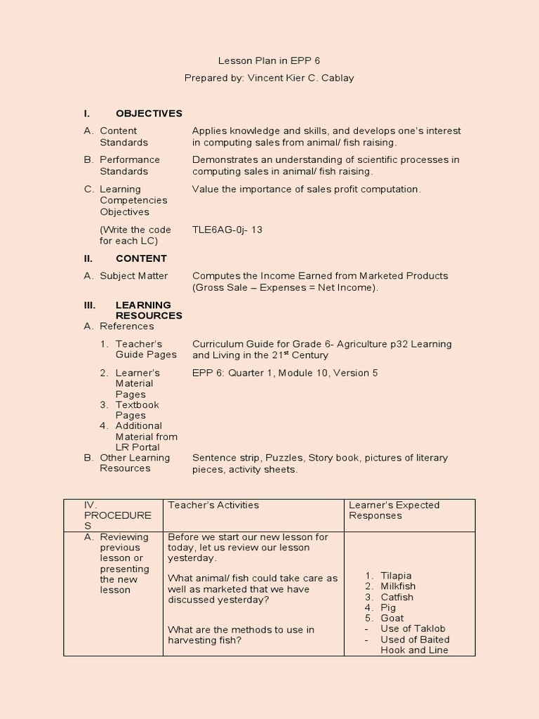 EPP 6 Lesson Plan: Sales Computation | PDF | Prices | Income