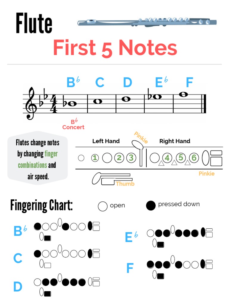 First Five Notes!! | PDF | Musical Instruments | Music Theory