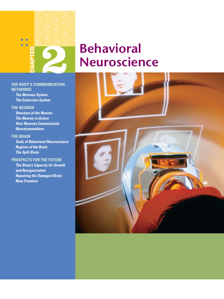 Behavioral Neuroscience | PDF | Neurotransmitter | Neuron