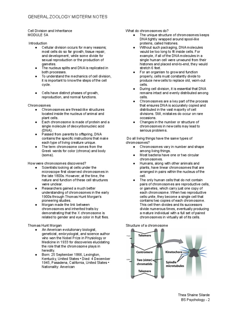 General Zoology Notes | PDF | Meiosis | Mitosis