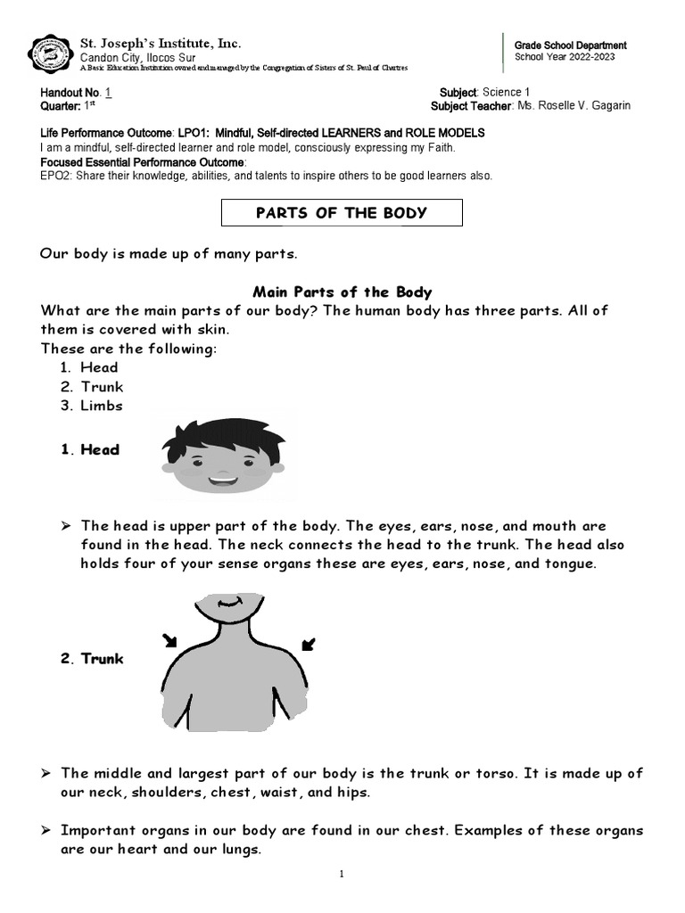Science Handouts Template | PDF | Anatomy | Human Anatomy