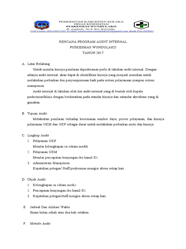 Rencana Program Audit Internal | PDF