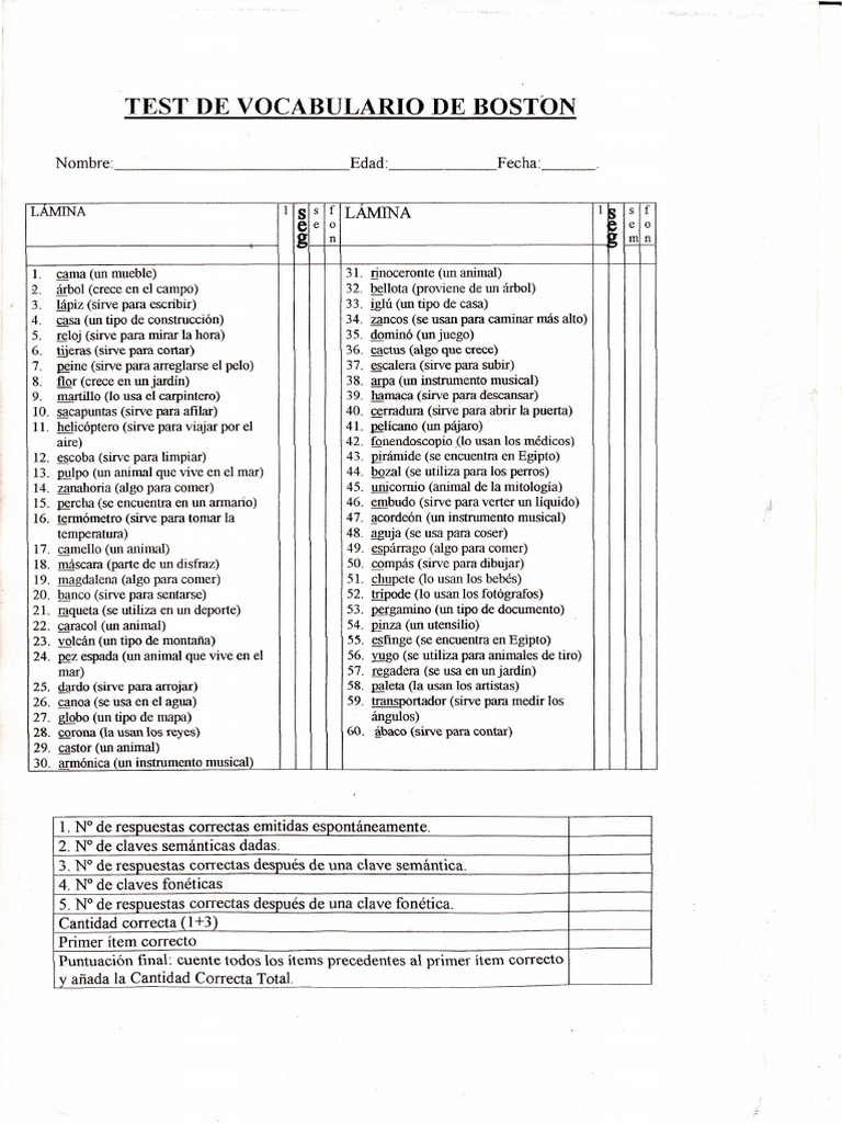BNT Plantilla 2 | PDF