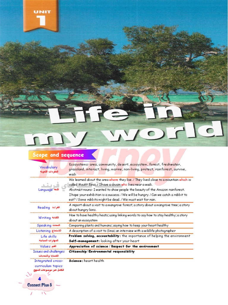 Connect Plus 5 (Unit 1) | PDF | Heart | Blood