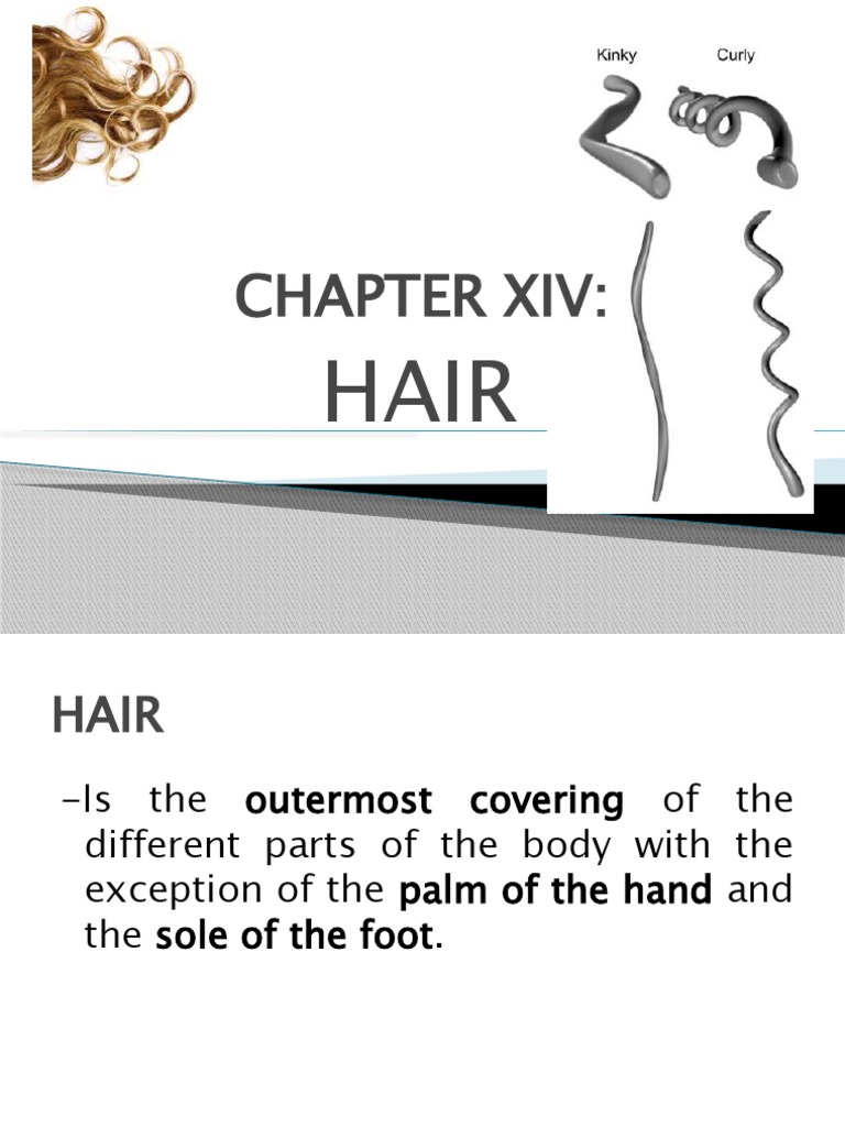 Chapter 14 Hair | PDF