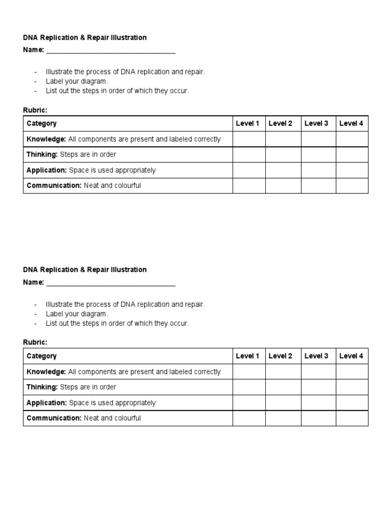 4 - DNA Replication & Repair Illustration | PDF | Computers