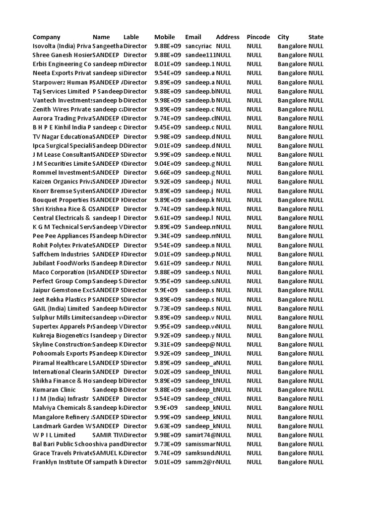 Bangalore Company Directors List | PDF