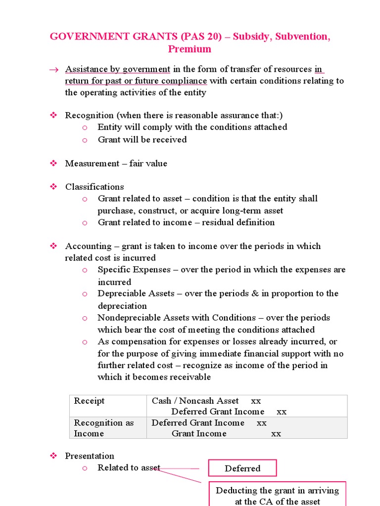 Government Grants | PDF | Income | Expense