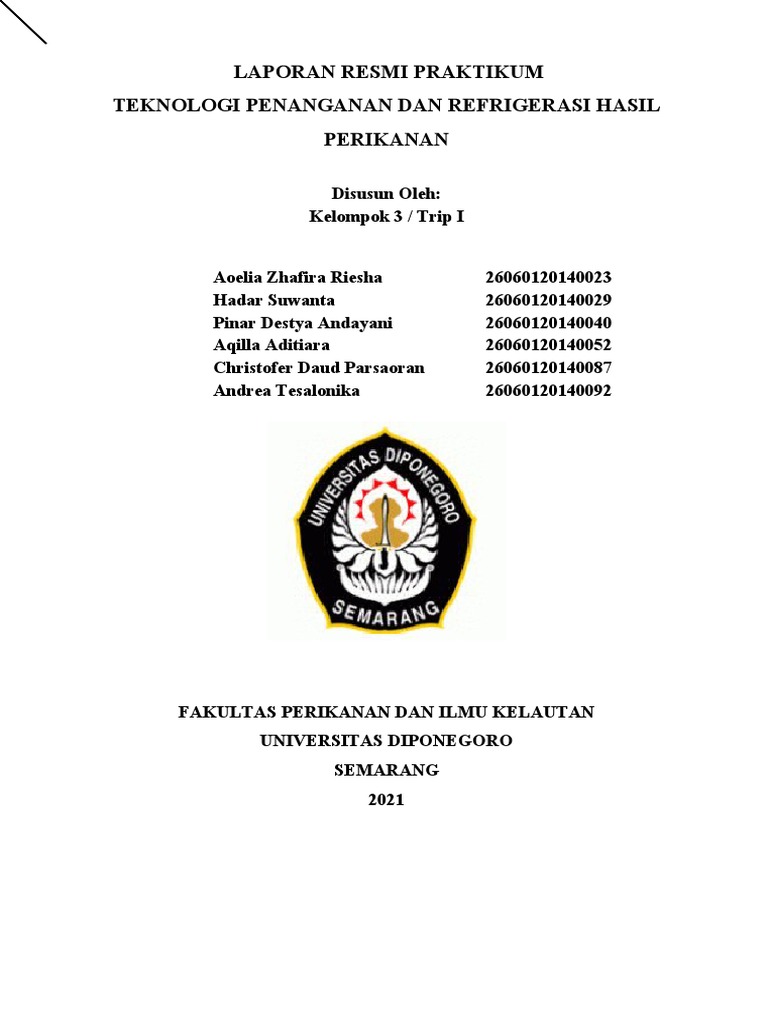 ACC Lapres - Kelompok 3 | PDF