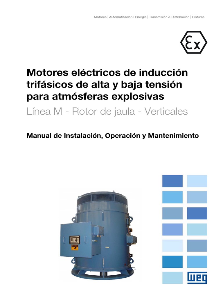 Motores Eléctricos de Inducción Trifásicos de Alta y Baja Tensión para ...