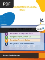 Buku Panduan Penginputan SIGA Fix Untuk Konsul | PDF