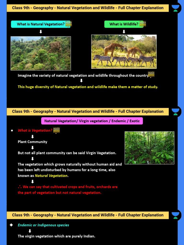 Natural Vegetation and Wildlife | PDF | Forests | Climate