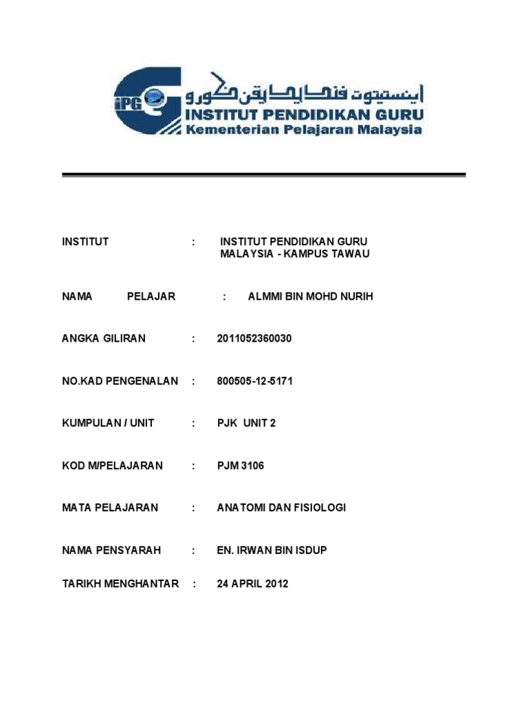 Anatomi Dan Fisologi Badminton Servis Tinggi (Almmi) | PDF