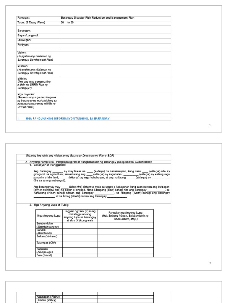 Revised - BDRRM Plan Template Filipino - Nov 7 2020 | PDF
