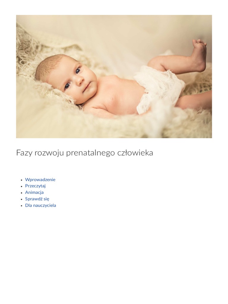 Fazy Rozwoju Prenatalnego Czlowi | PDF