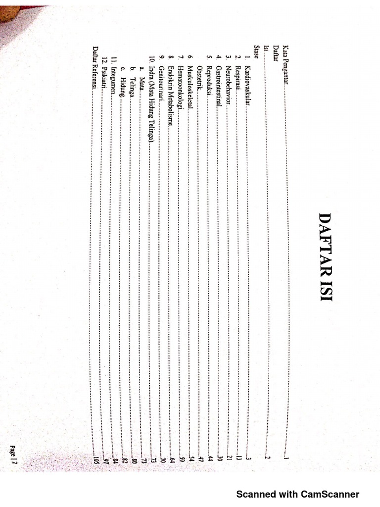 A document consisting entirely of the repeated phrase "Scanned with CamScanner | PDF