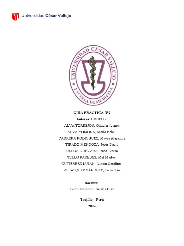 Guia Practica 02 | PDF | Influenza | Pensamiento