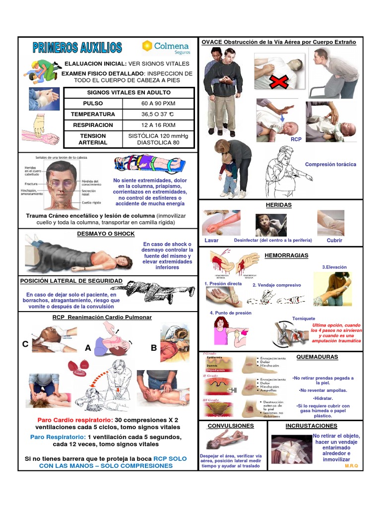 Folleto Primeros Auxilios | PDF | Reanimación cardiopulmonar | Paro cardíaco