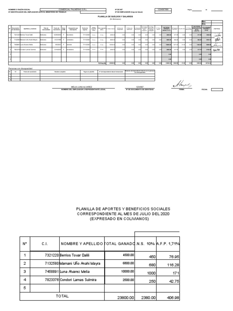 Formato Planilla Mensual | PDF | Economias