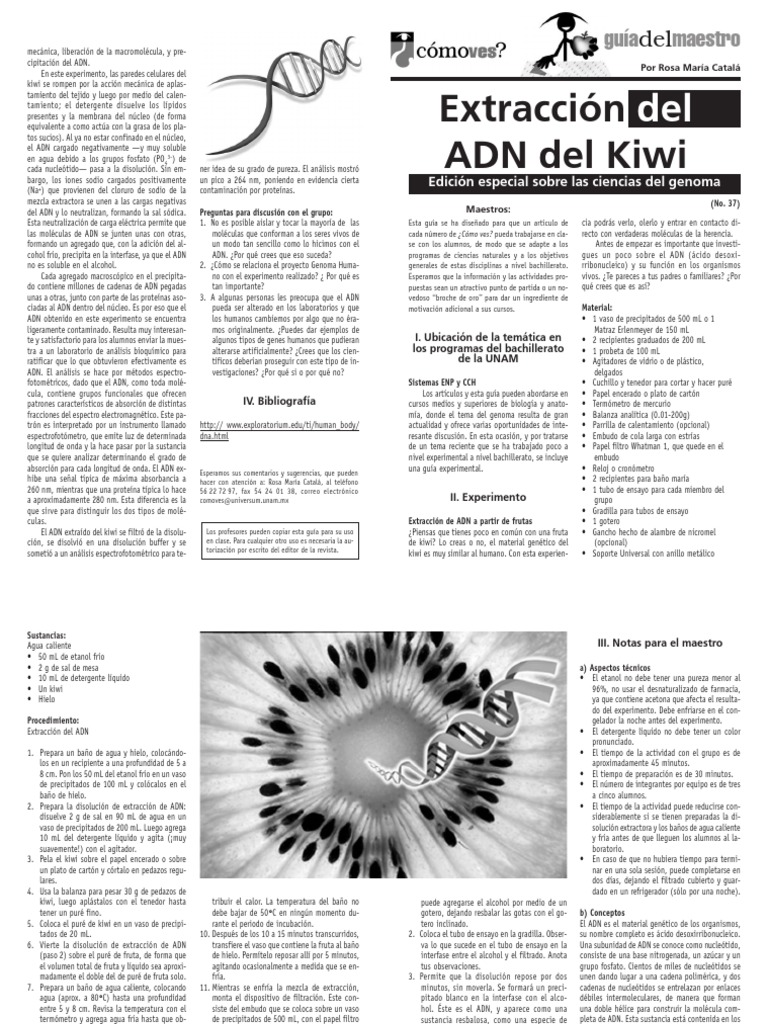 Extracción de AND Del Kiwi | PDF | Adn | Agua